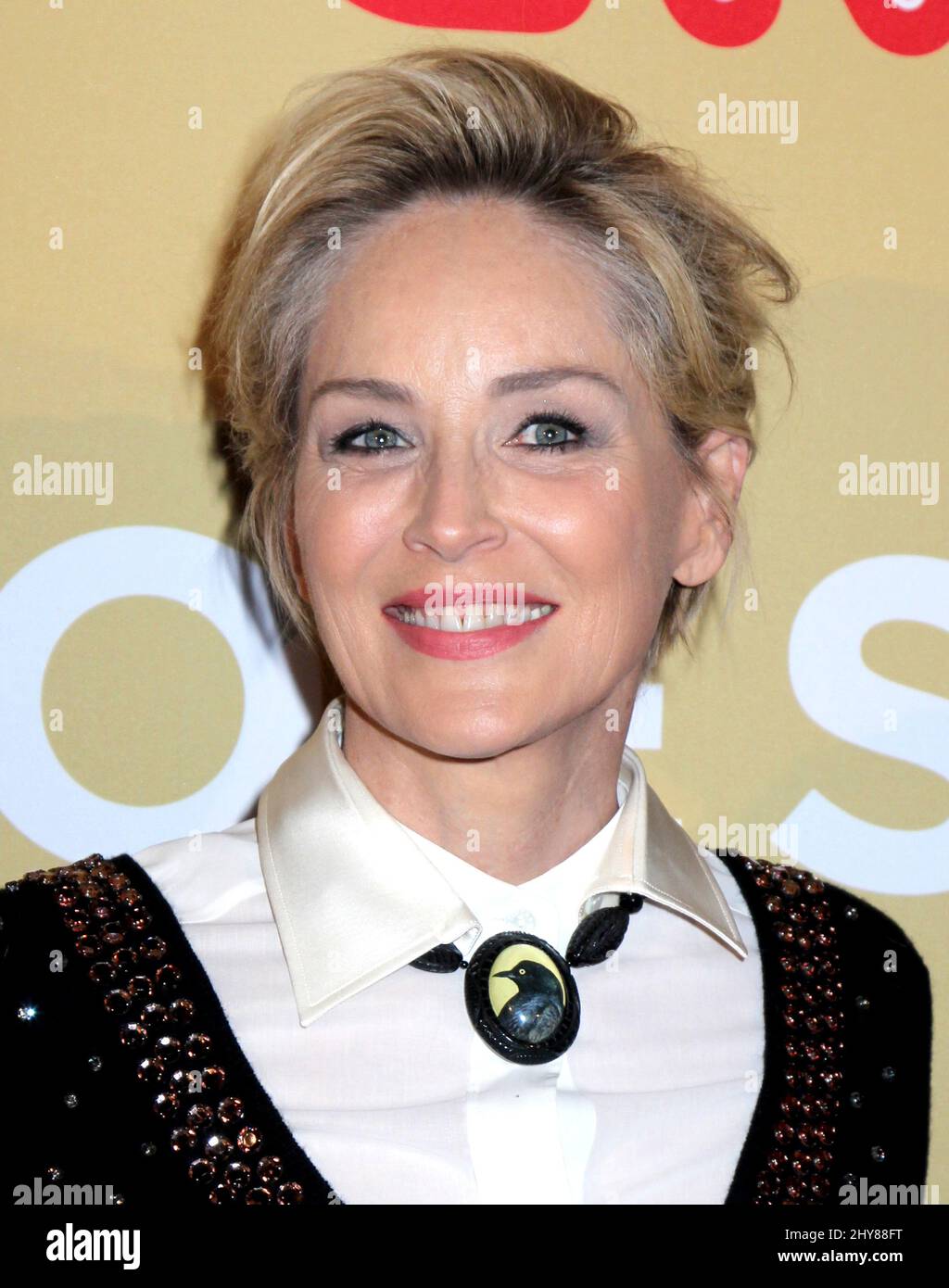 Sharon Stone attending the CNN Heroes All-Star Tribute, held at the ...
