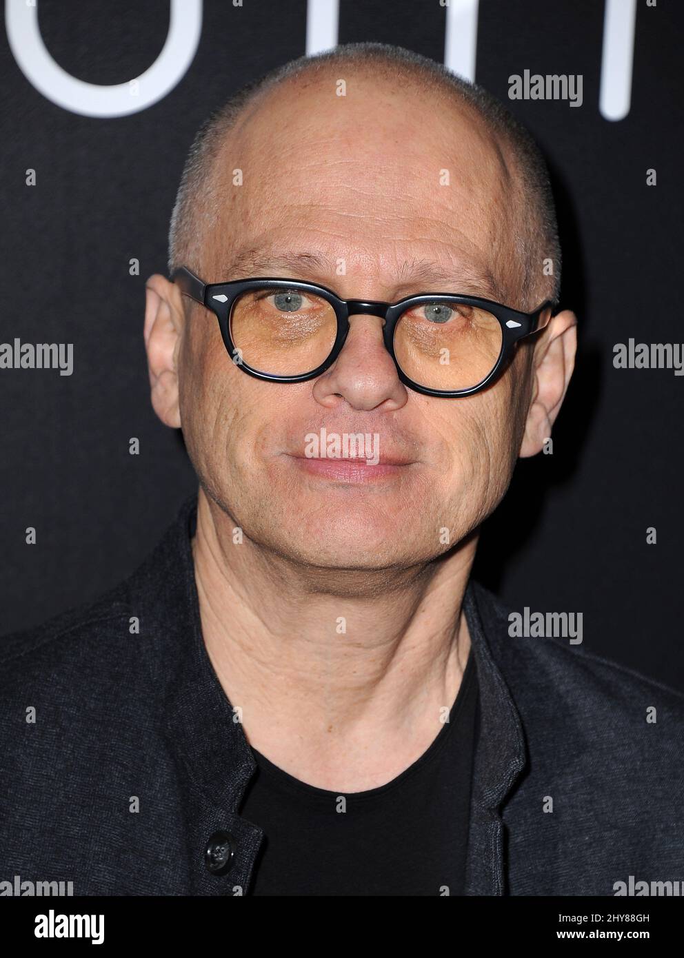 David Lang attending the premiere of FOX Searchlight's Youth, held at ...