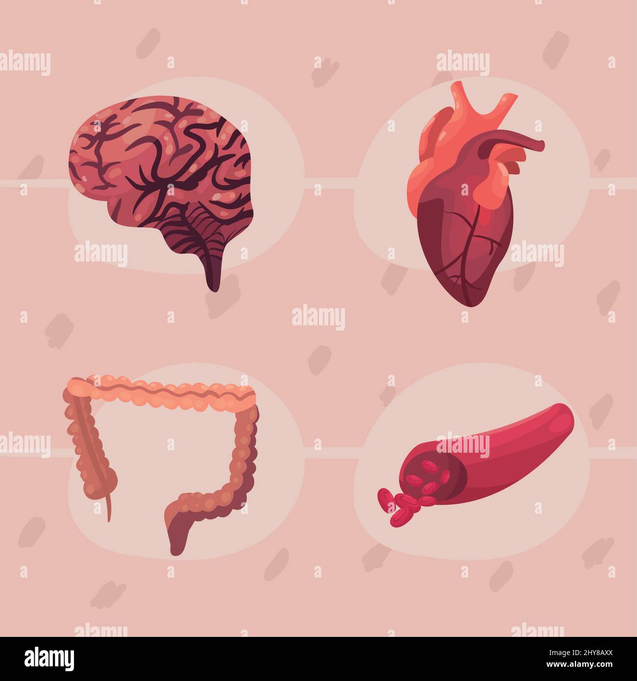 Flat Human Body Parts Stock Vector Image Art Alamy flat-human-body-parts-stock-vector-image-art-alamy
