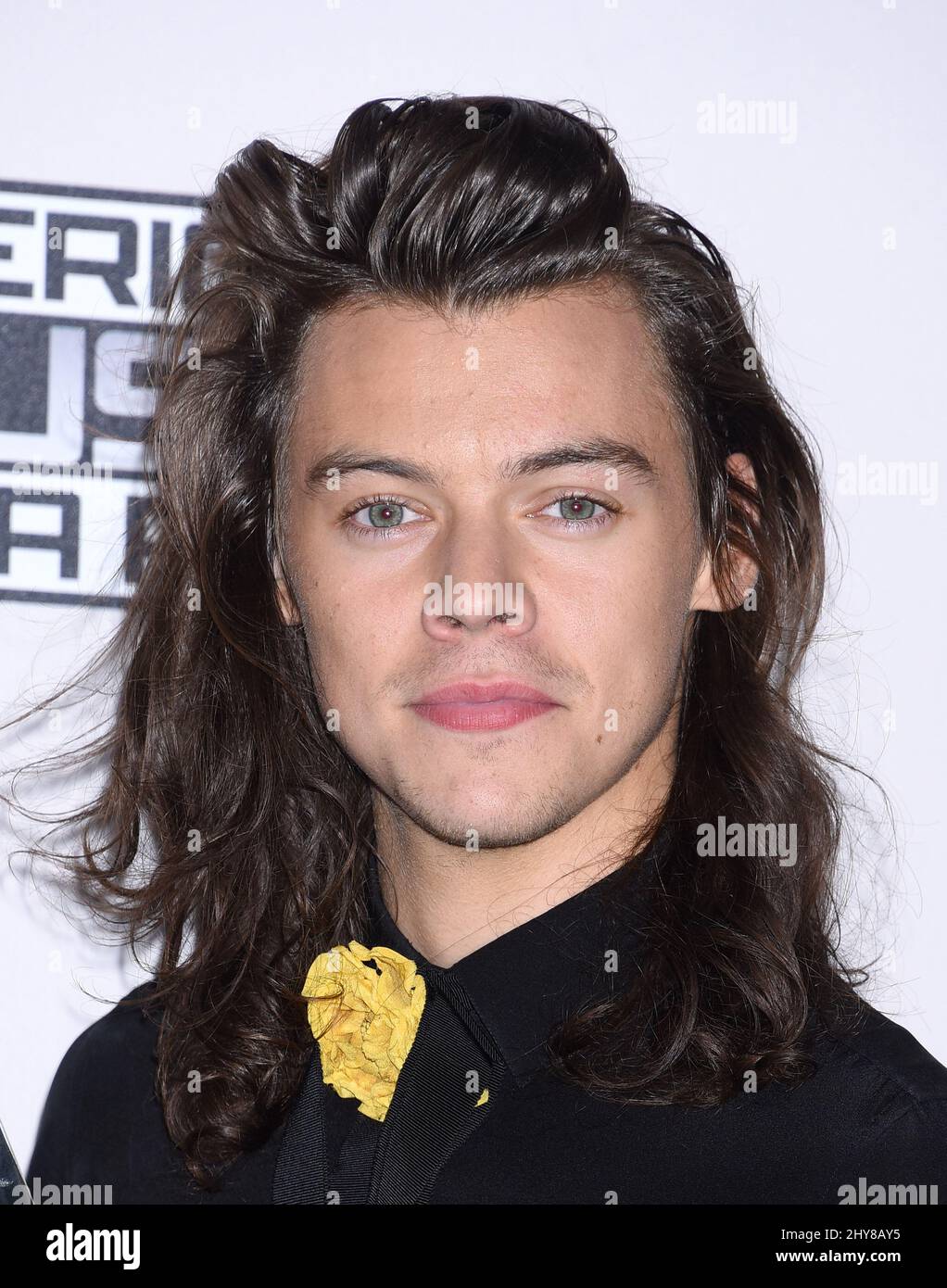 Harry Styles 2015 American Music Awards held at the Microsoft Theatre ...