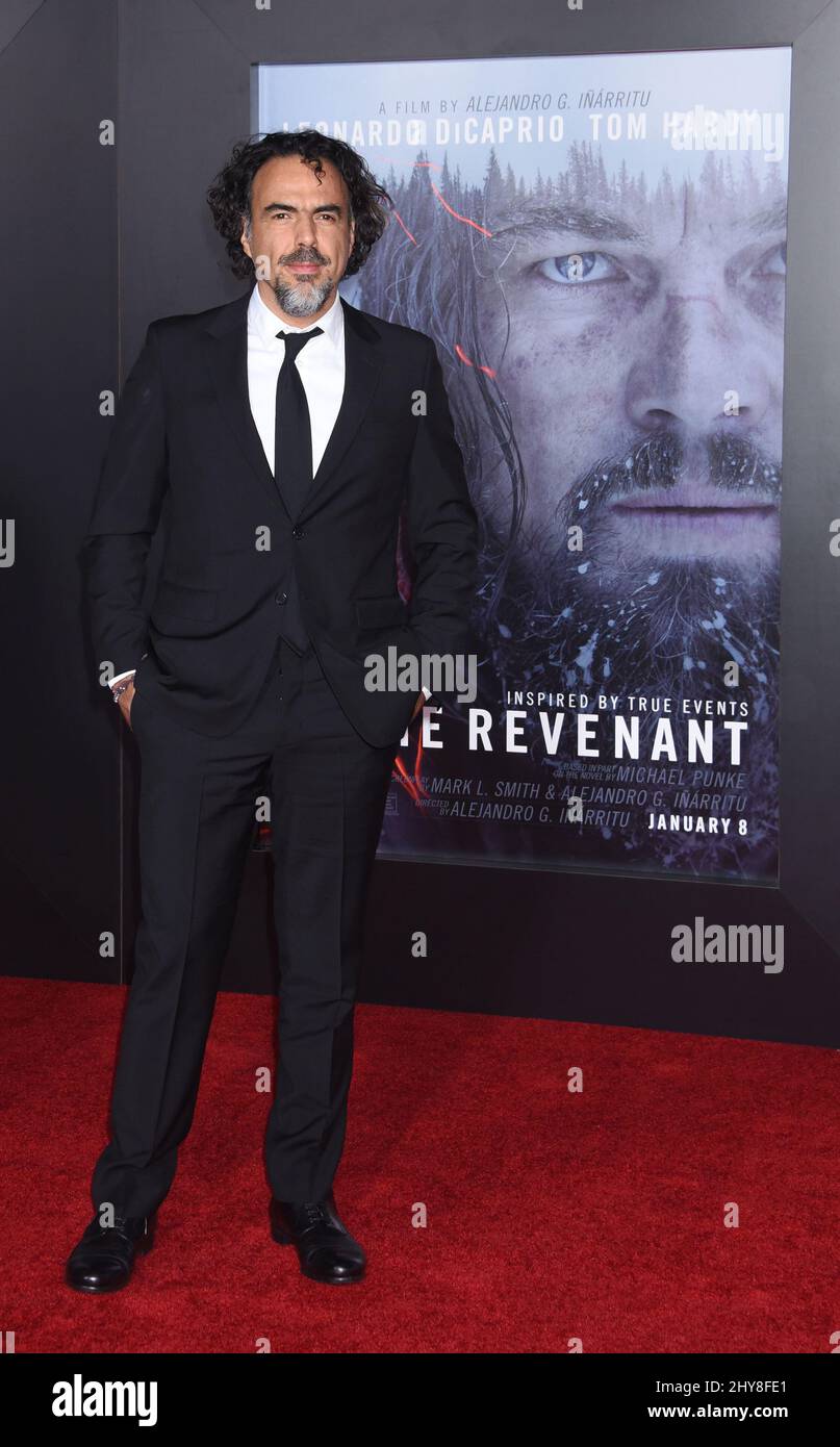 Alejandro gonzález inarritu hi-res stock photography and images - Alamy