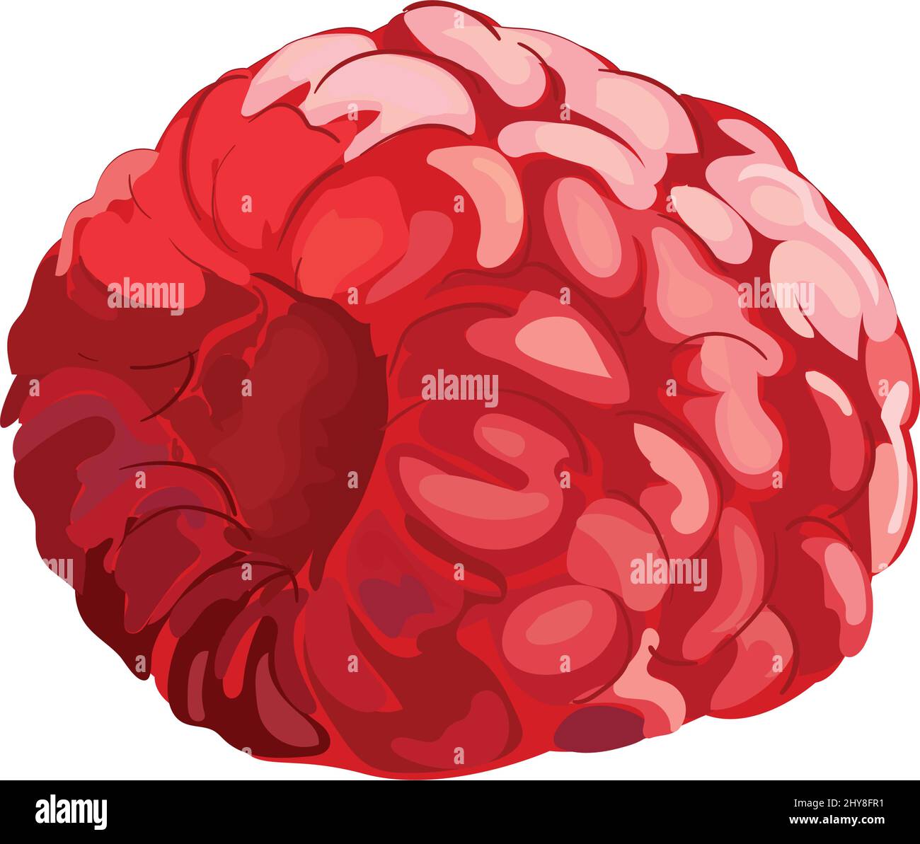 realistic redberry design Stock Vector Image & Art - Alamy