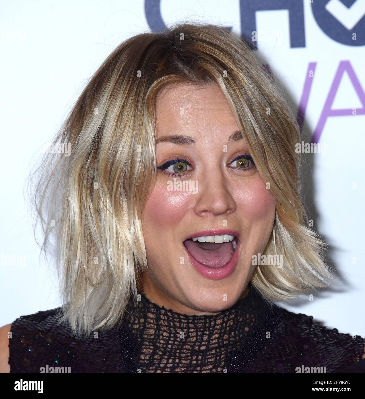 Kaley Cuoco in the press room at the People's Choice Awards 2016 held ...