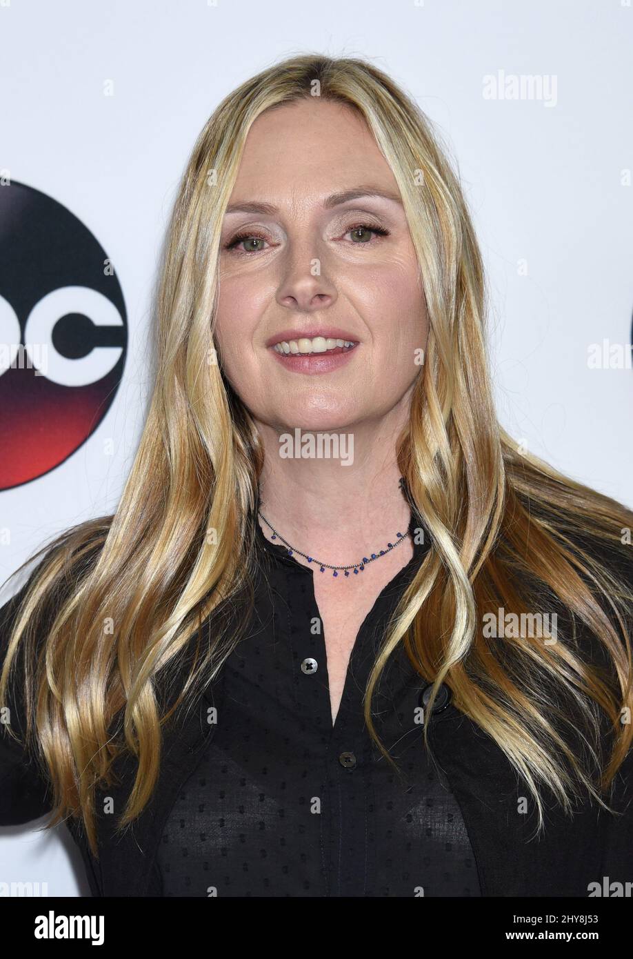 Hope Davis attending the Disney ABC Television Group Hosts 2016 TCA ...