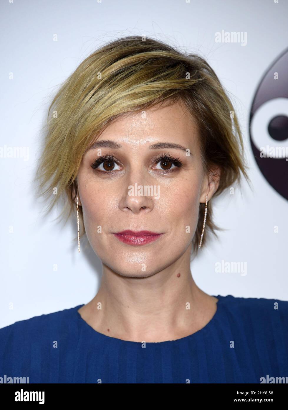 Liza Weil attending the Disney ABC Television Group Hosts 2016 TCA ...
