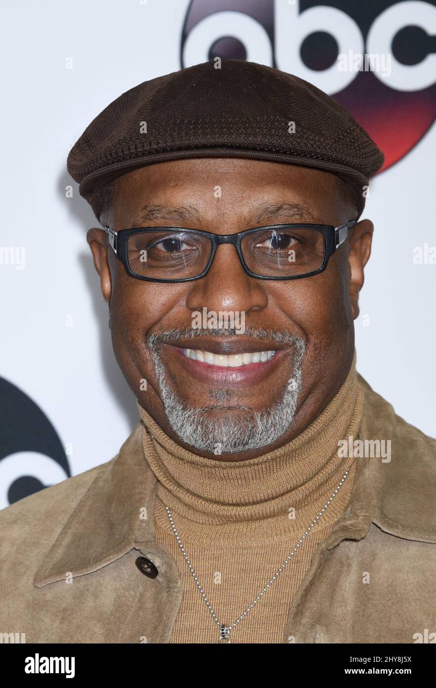 James Pickens Jr. attending the Disney ABC Television Group Hosts 2016 ...