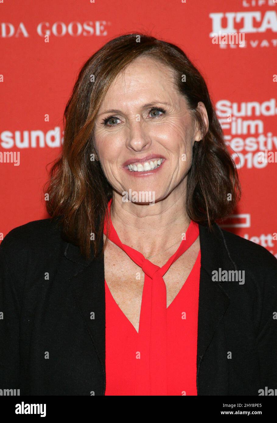 2016 molly shannon hi-res stock photography and images - Alamy