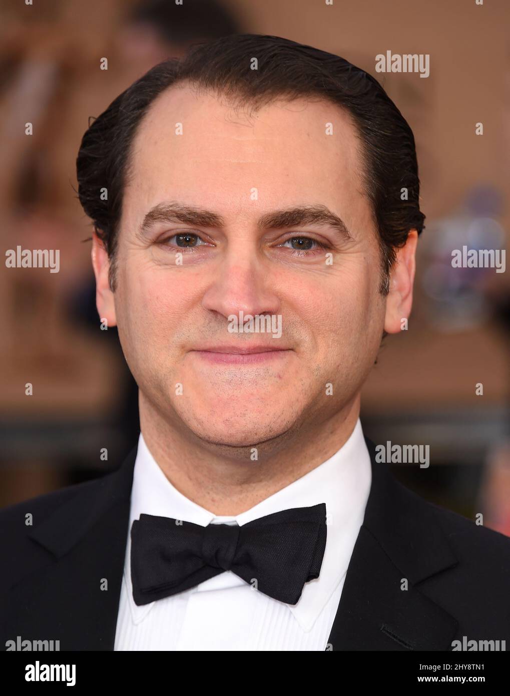 Michael Stuhlbarg arriving at the 22nd Annual Screen Actors Guild ...