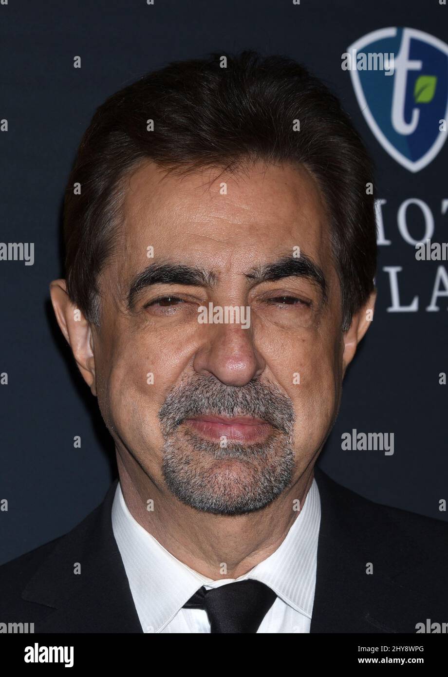 Joe Mantegna attending the 24th Annual MovieGuide Awards held at the ...