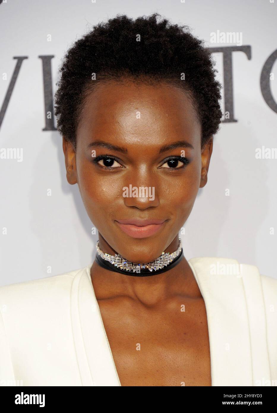 Herieth Paul attending the 2016 amfAR New York Gala at Cipriani Wall ...