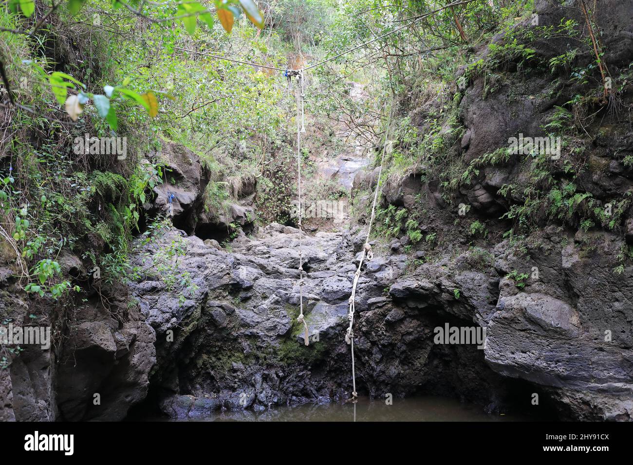 Bushland hike hi-res stock photography and images - Alamy
