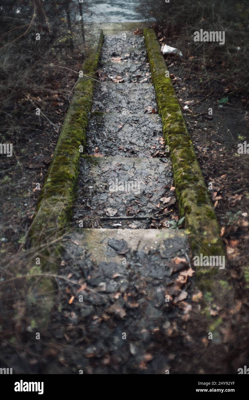 Wet stone path in hi-res stock photography and images - Alamy