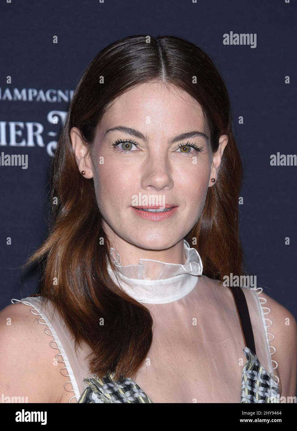 Michelle Monaghan attending the Ninth Annual Women In Film Pre-Oscar ...