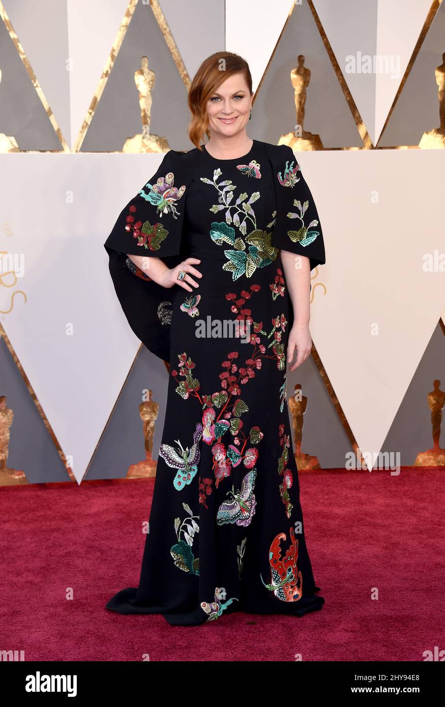 Amy Pohler attending the 88th Annual Academy Awards held at the Dolby ...