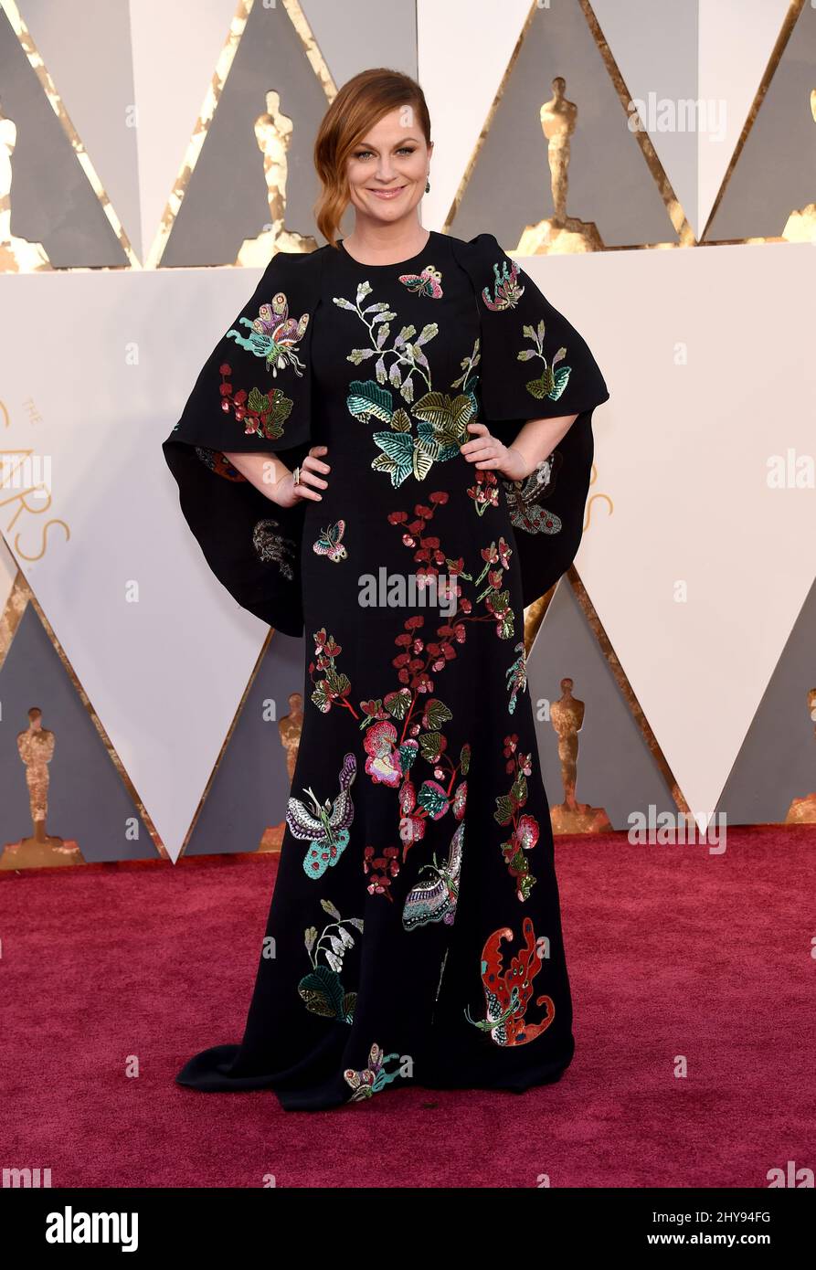 Amy Pohler attending the 88th Annual Academy Awards held at the Dolby ...