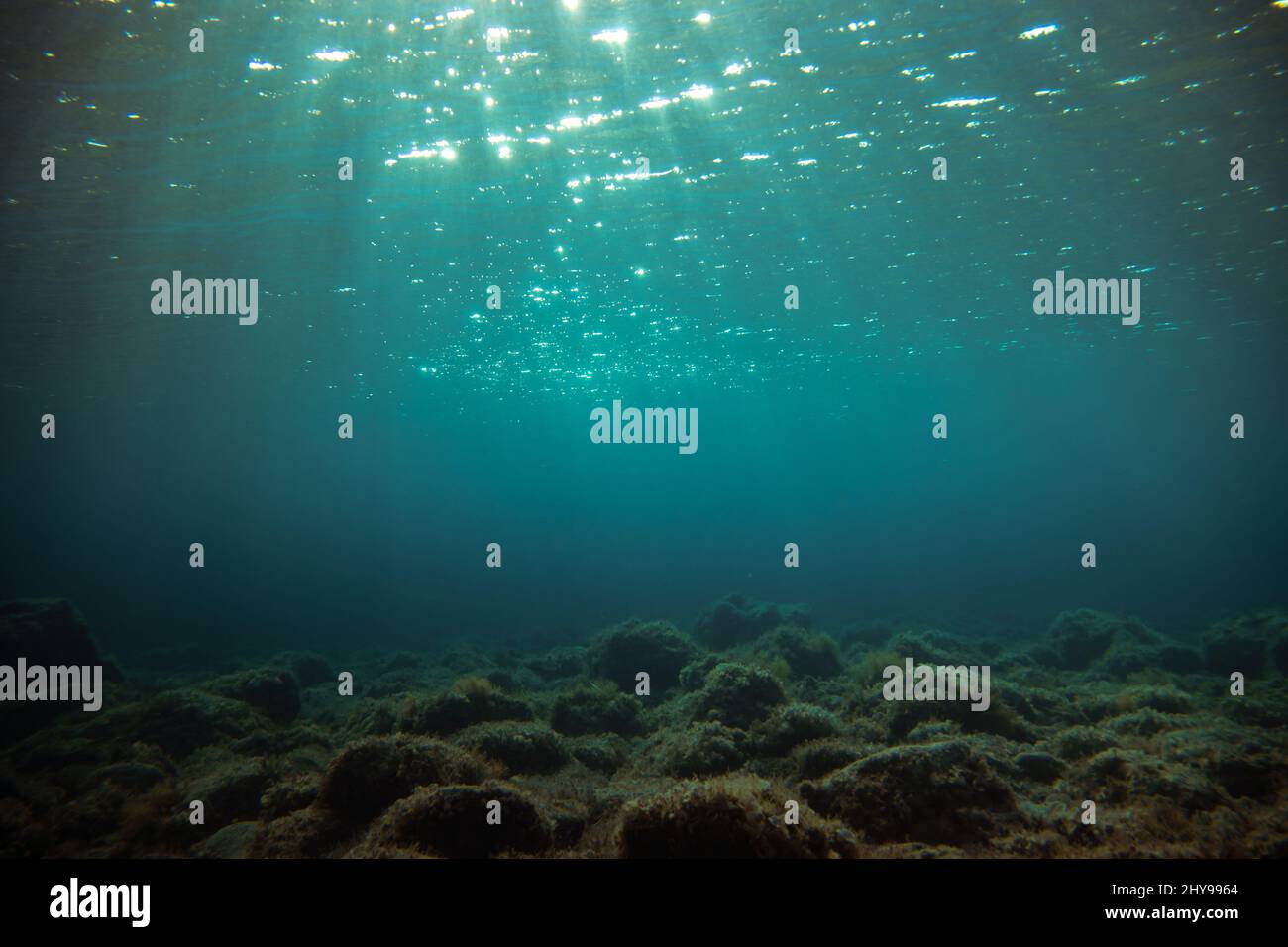 Underwater shot with sunlight entering the water Stock Photo - Alamy