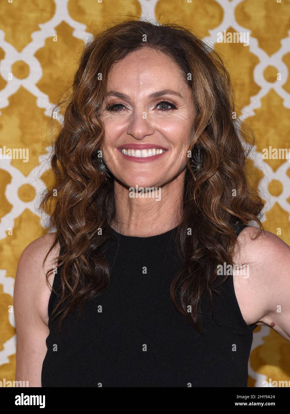 Amy Brenneman attending HBO's "Confirmation" Los Angeles Premiere held ...
