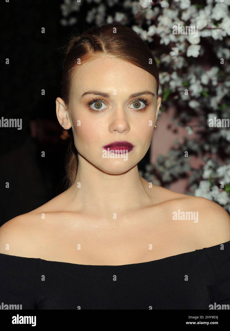 Alice holland hi-res stock photography and images - Alamy