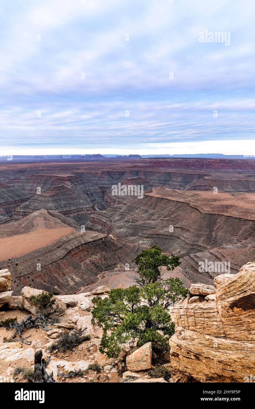 UT00890-00.....UTAH -View over the San Juan River Canyons at Muley ...
