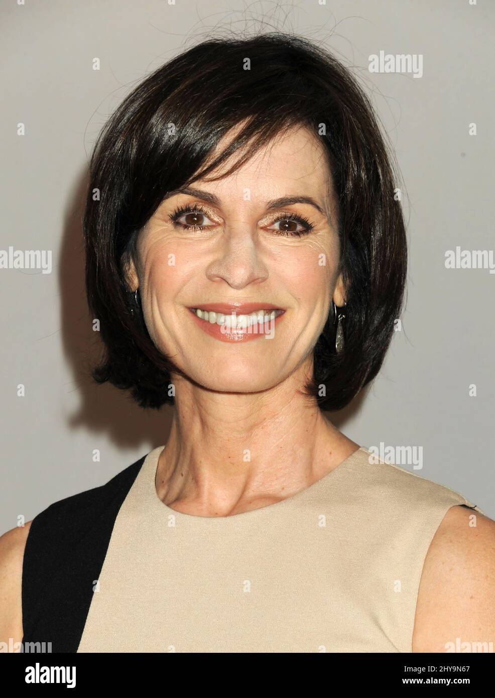 Elizabeth Vargas attending the ABC Network 2016 Upfronts held at the ...