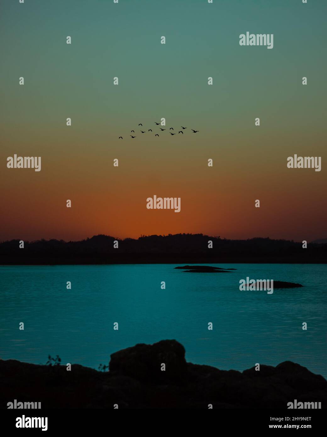 Beautiful view of a group of birds flying with sunset in the background ...