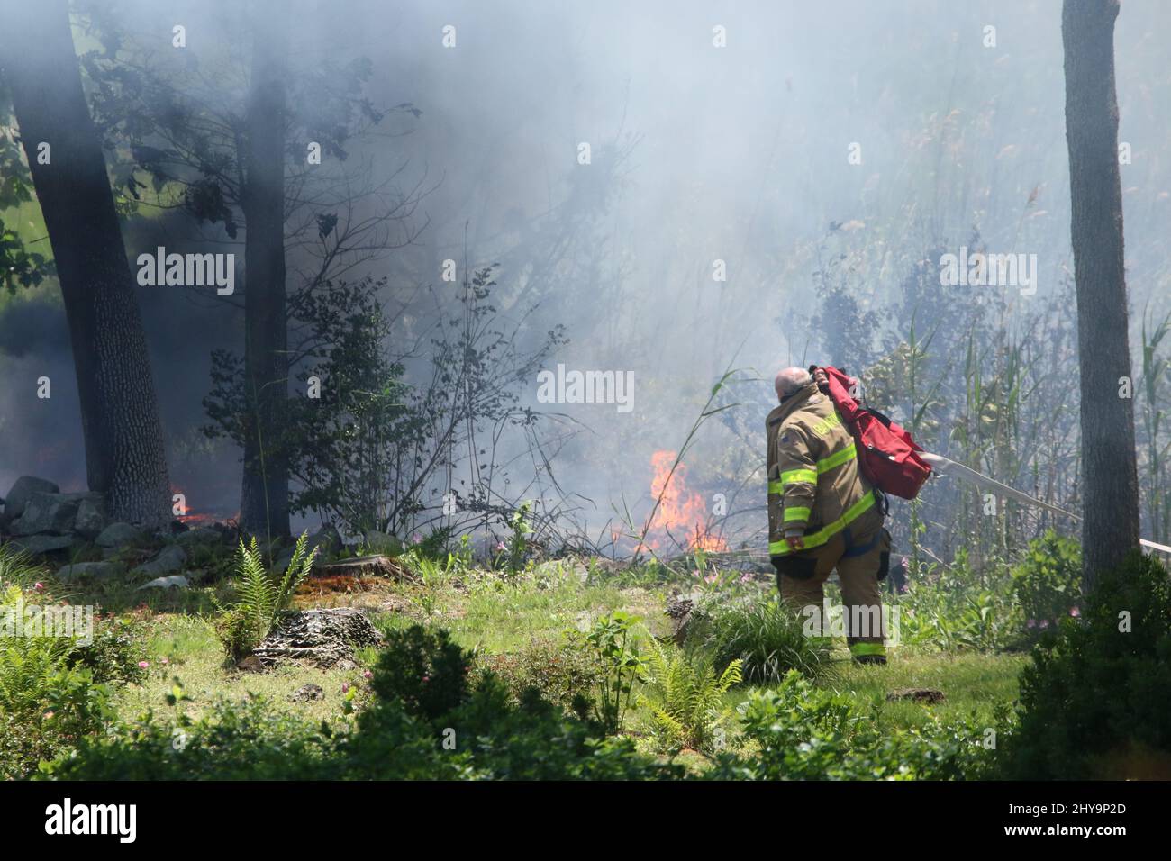 View of a firefighter extinguishing the fire in the forest Stock Photo ...