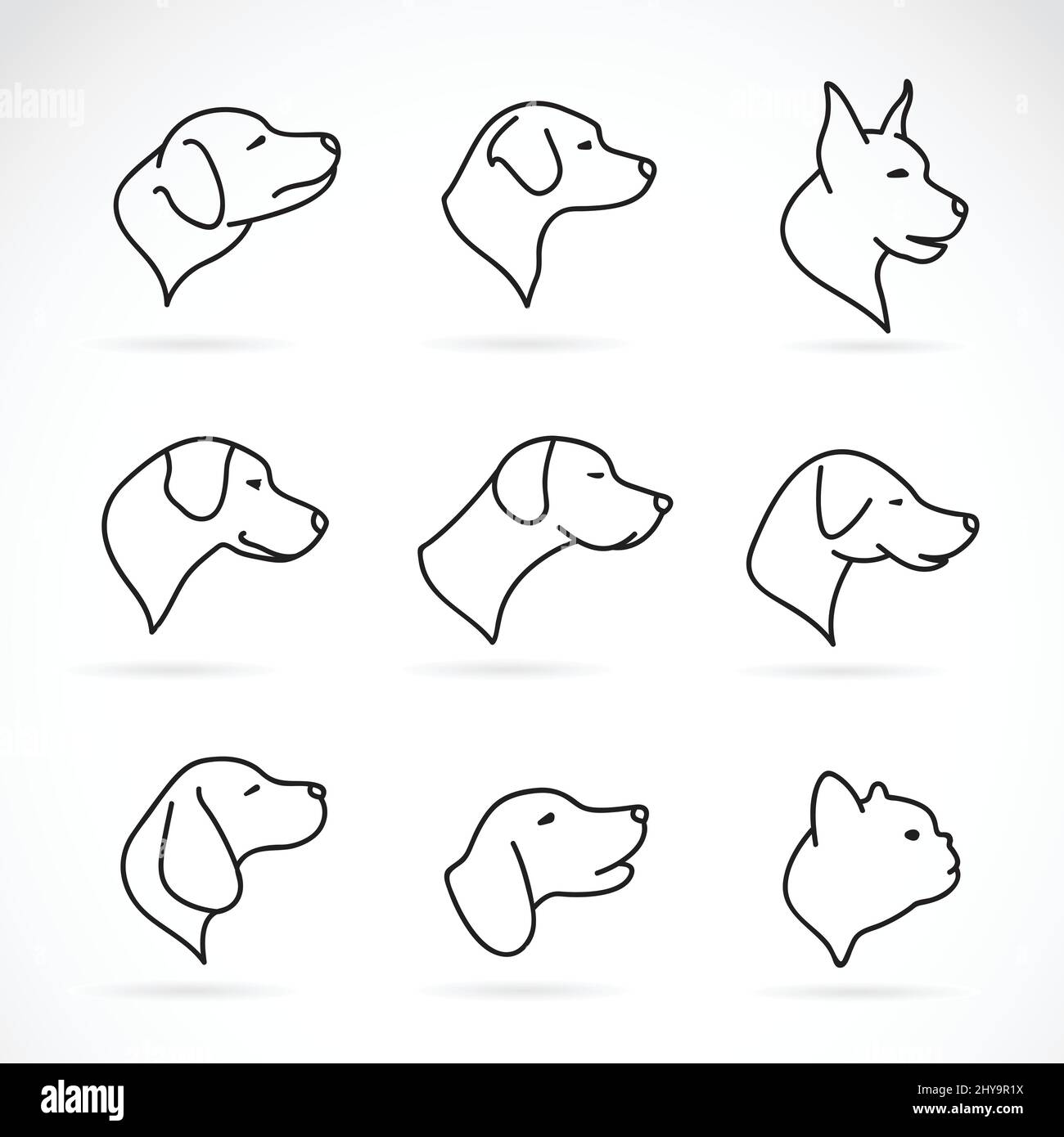 Vector image of dog head on white background. Easy editable layered ...