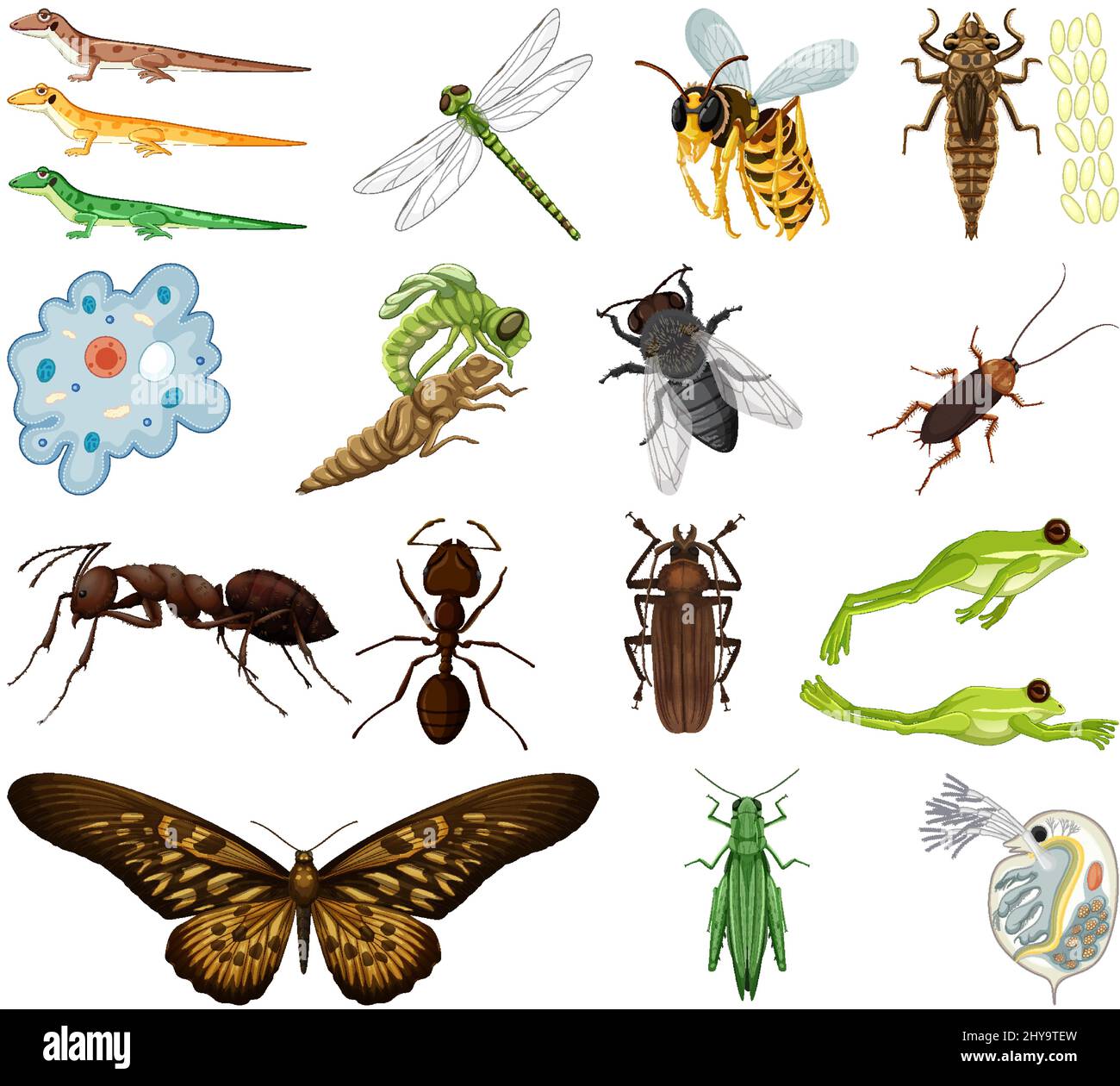 Different kinds of insects and animals on white background illustration ...