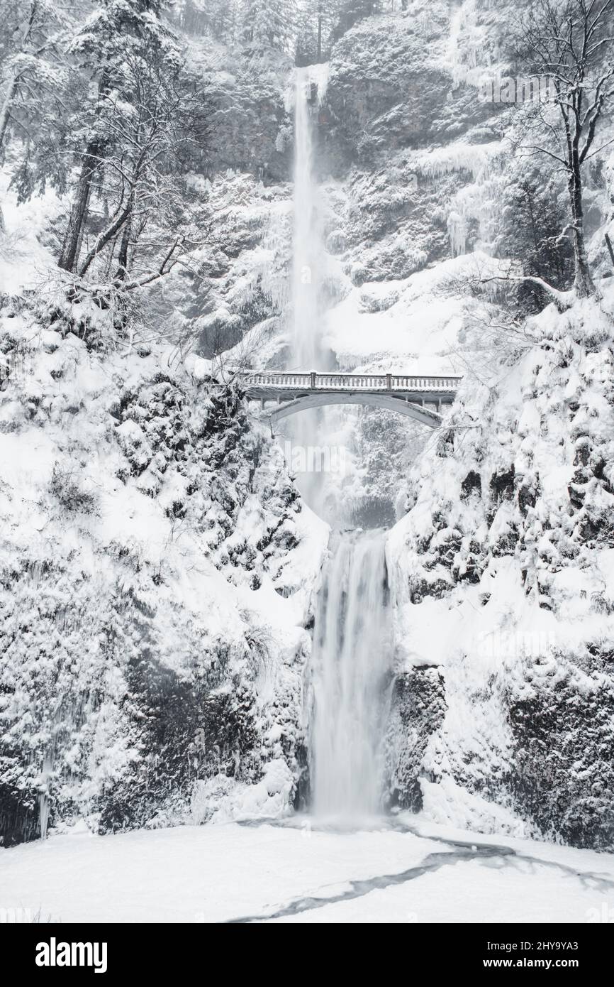 Waterfall in a snowy forest in Oregon, Portland Stock Photo - Alamy