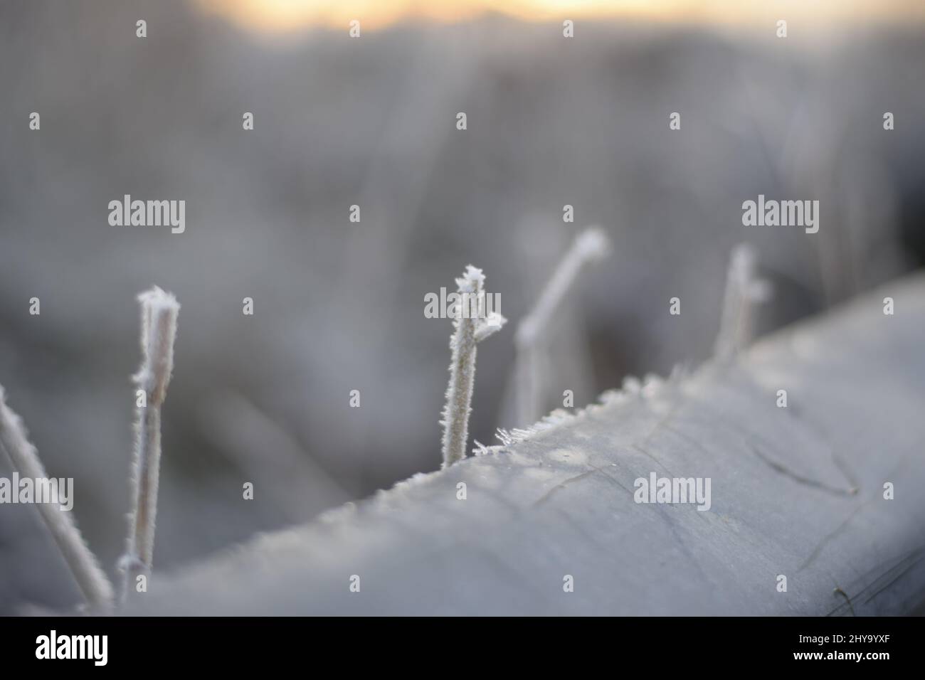 Tiny icicles hi-res stock photography and images - Alamy