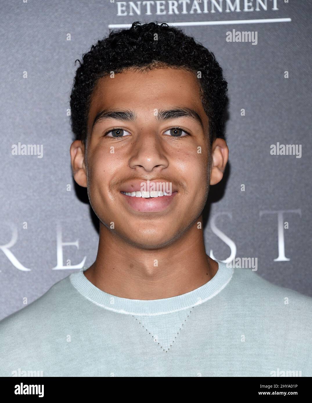 Marcus Scribner attending the 'Free State of Jones' premiere in Los ...