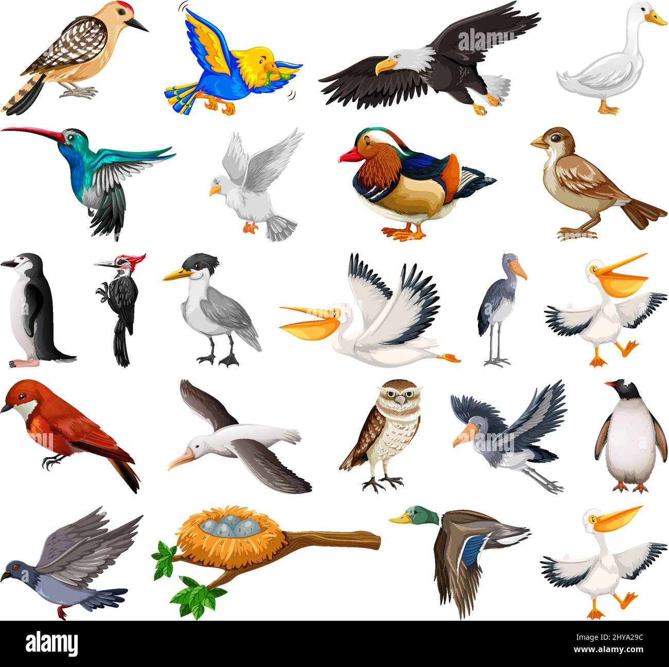 Different kinds of birds collection illustration Stock Vector Image ...