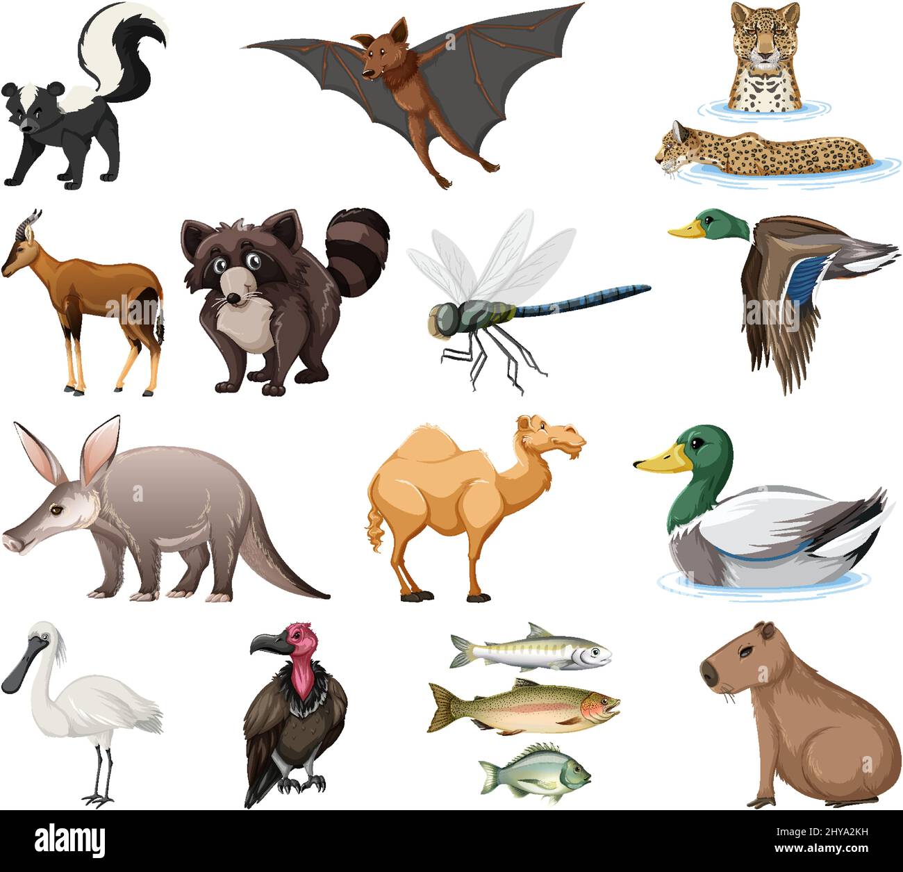 Different kinds of animals collection illustration Stock Vector Image ...