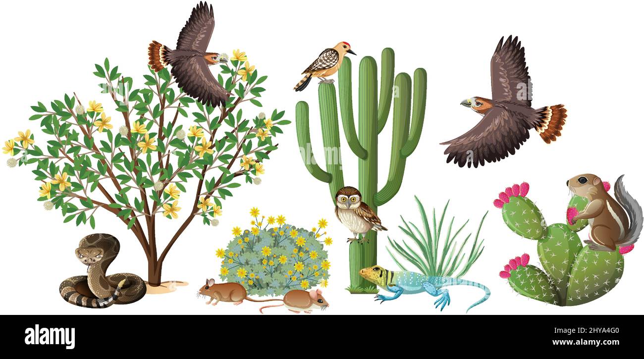 Many animals in the garden illustration Stock Vector Image & Art - Alamy