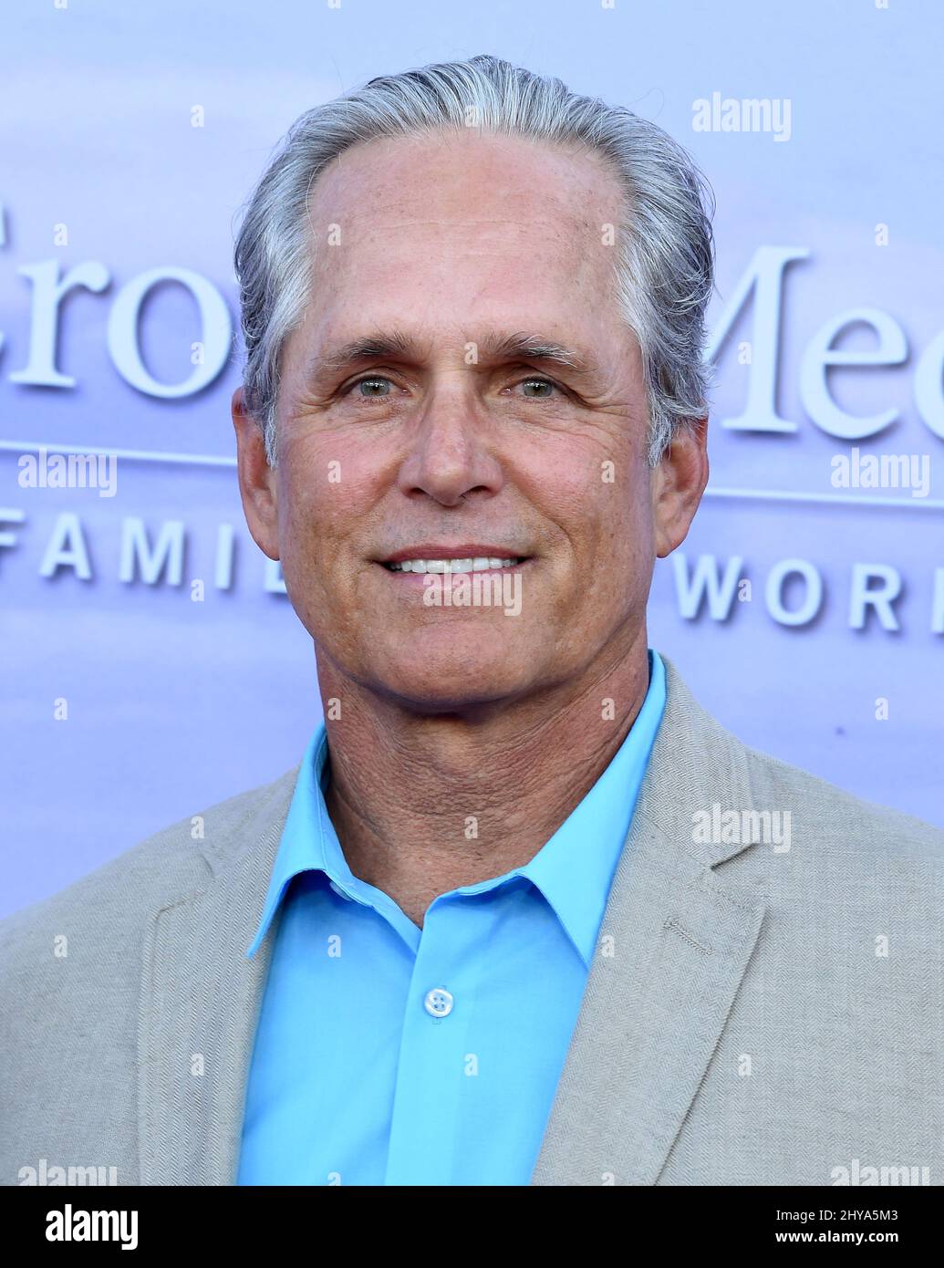 Hallmark channel summer 2016 tca party hi-res stock photography and ...