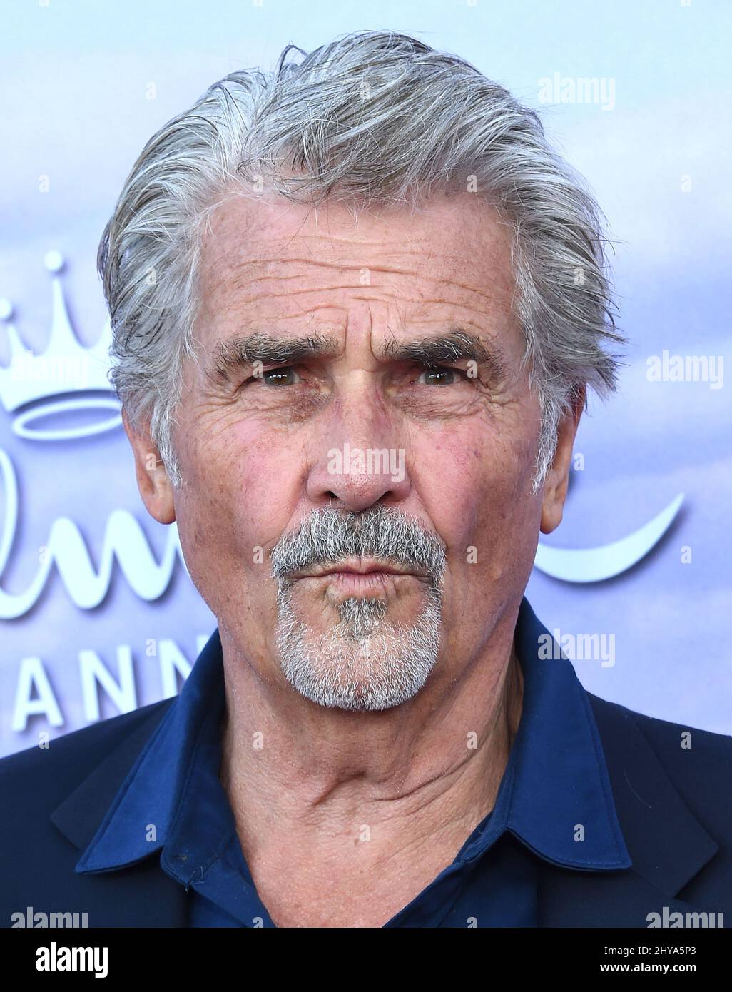 James Brolin attending the Hallmark Channel Summer 2016 TCA Party held ...