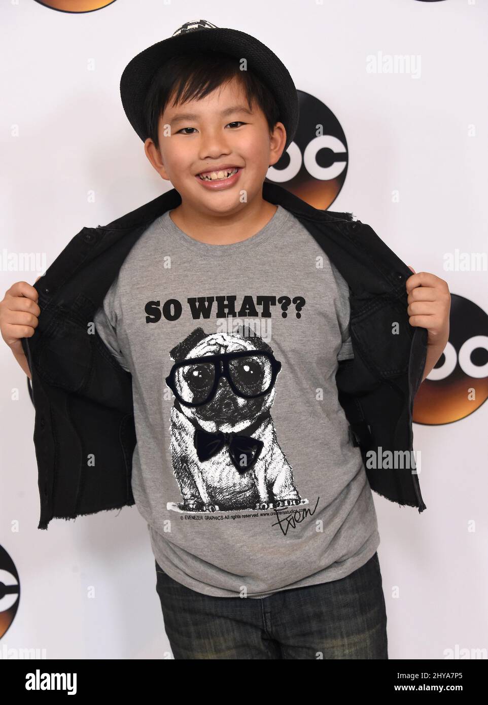Albert Tsai attending the Disney ABC TCA Summer Press Tour 2016 held at ...
