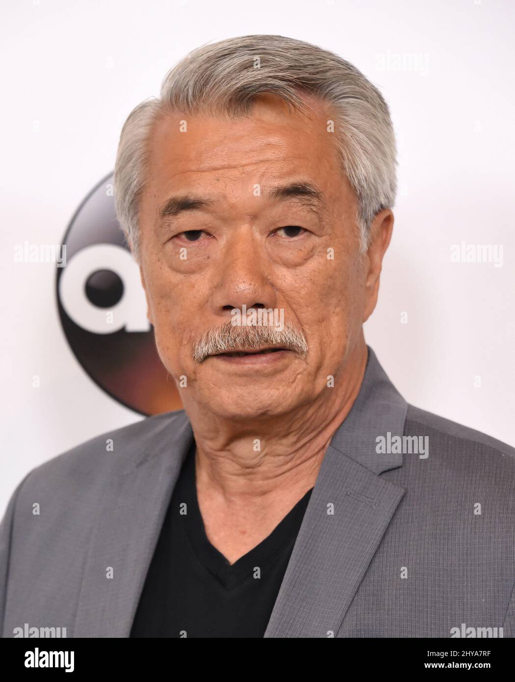 Dana Lee attending the Disney ABC TCA Summer Press Tour 2016 held at ...