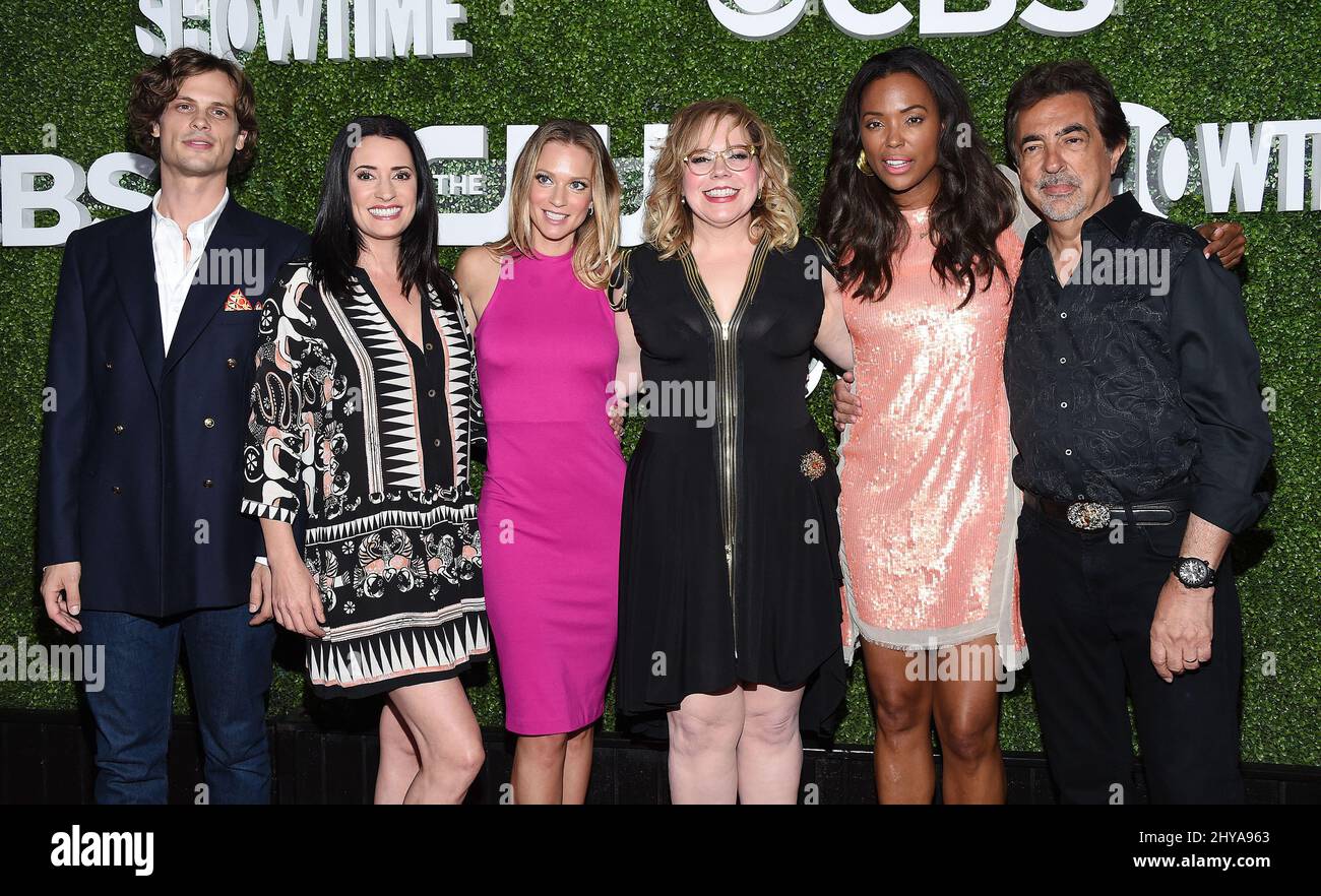 Aj cook and kirsten vangsness hi-res stock photography and images - Alamy