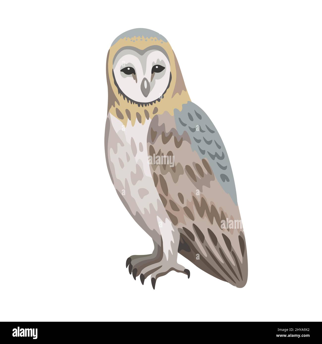 Vector cartoon barn owl isolated on white background Stock Vector Image ...