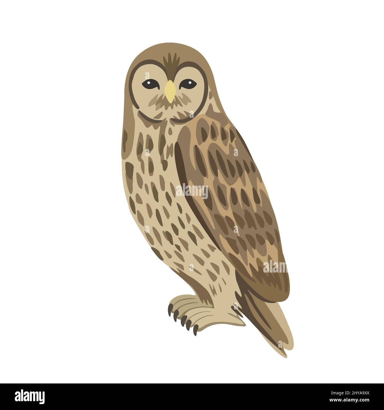 Striped Owl Clipart