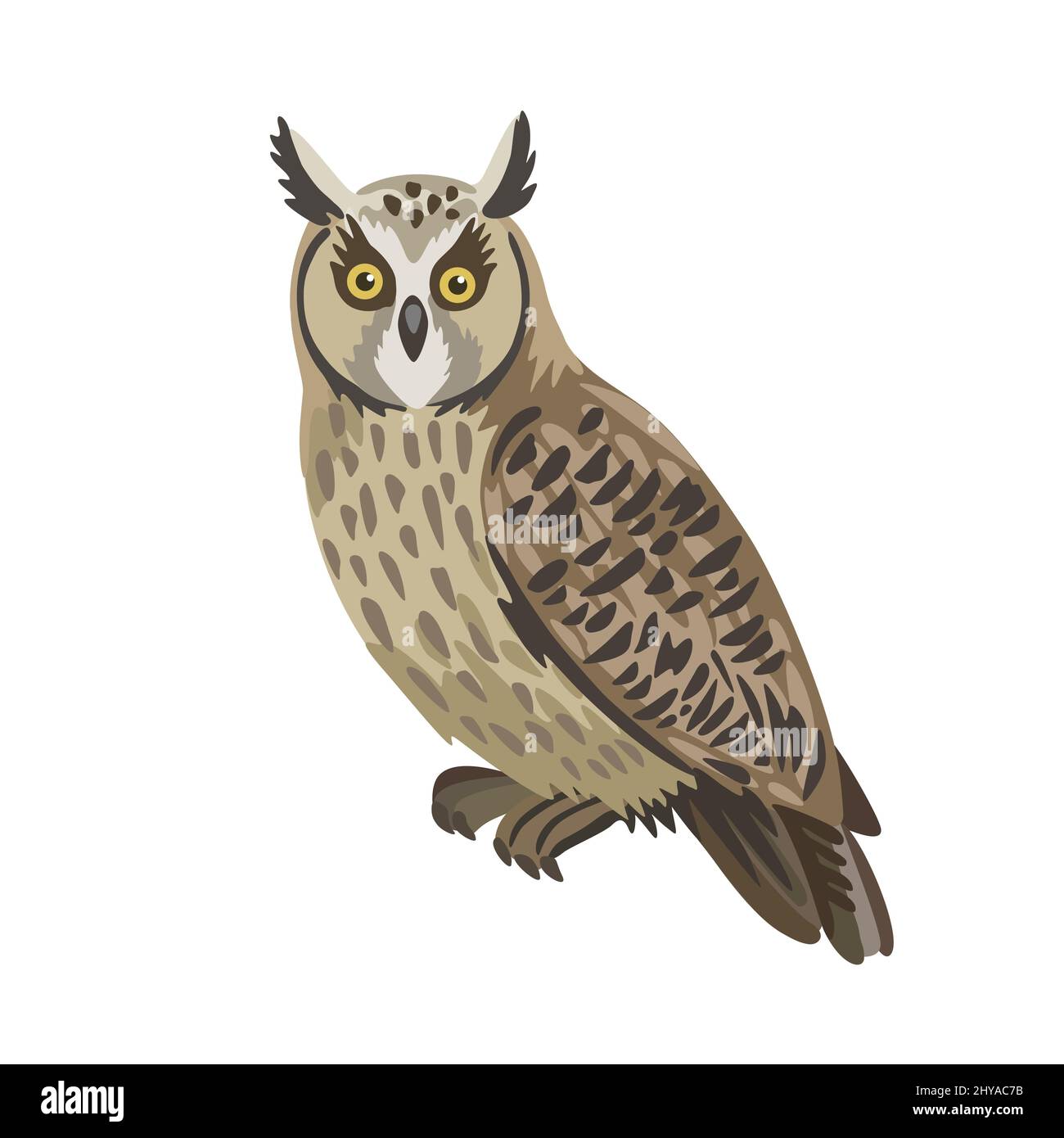 Vector cartoon long eared owl isolated on white background Stock Vector ...