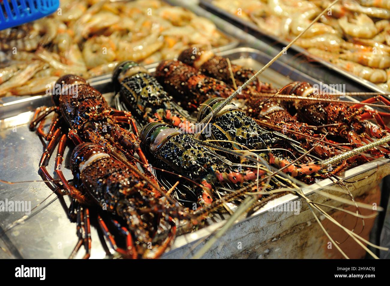Fresh lobsters for sale at a stall in Coron traditional market in Coron ...