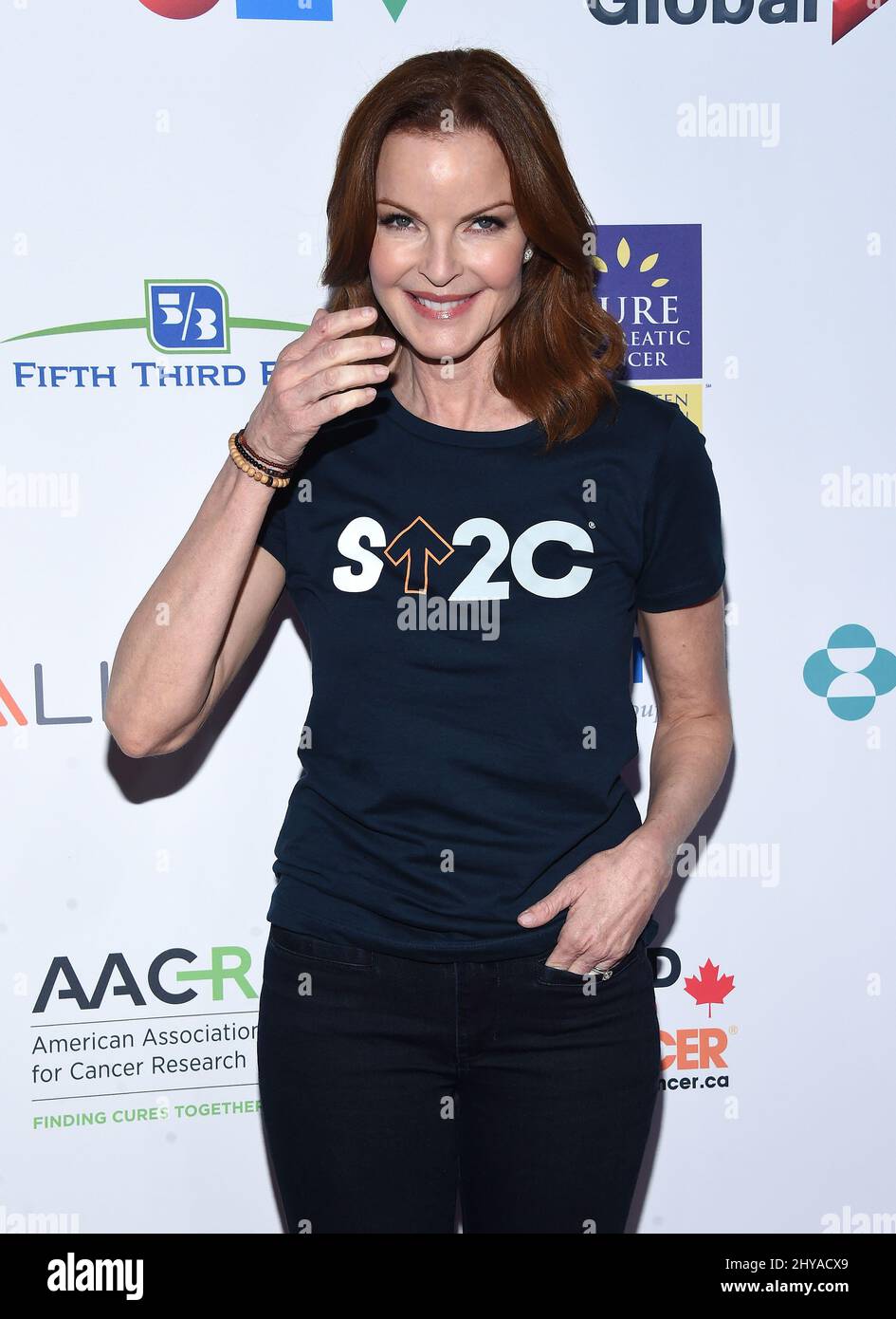 Marcia Cross attending the Hollywood Unites for the 5th Biennial Stand ...