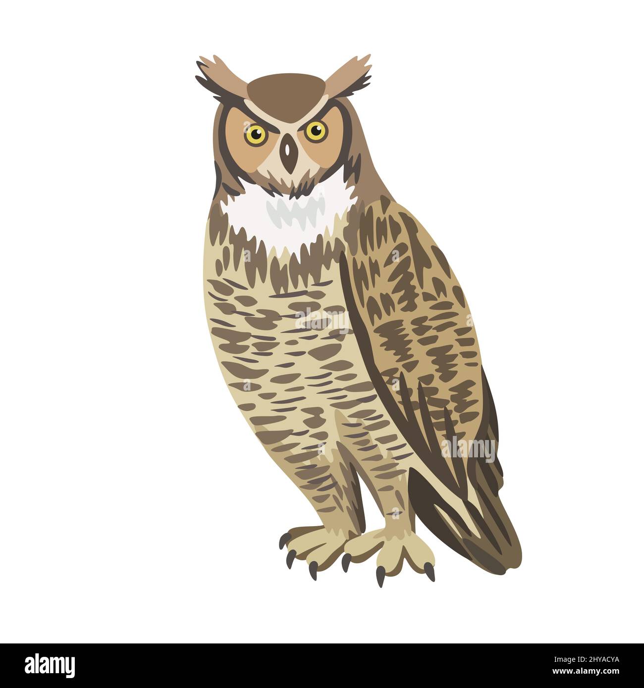 Cute cartoon eagle owl Cut Out Stock Images & Pictures - Alamy