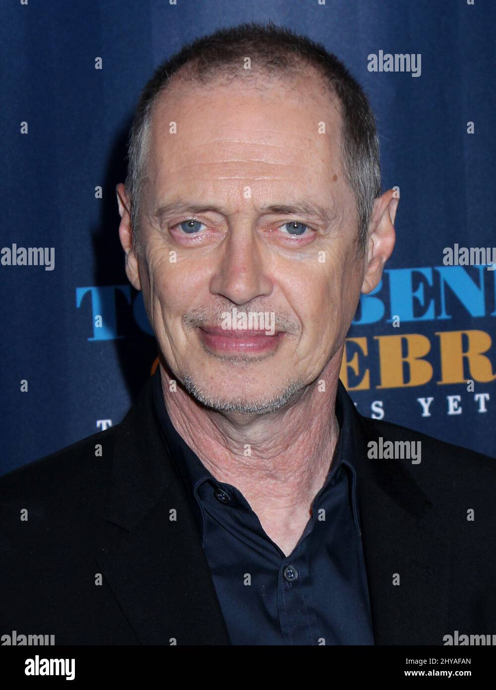 Steve Buscemi attend "Tony Bennett Celebrates 90: The Best Is Yet to ...