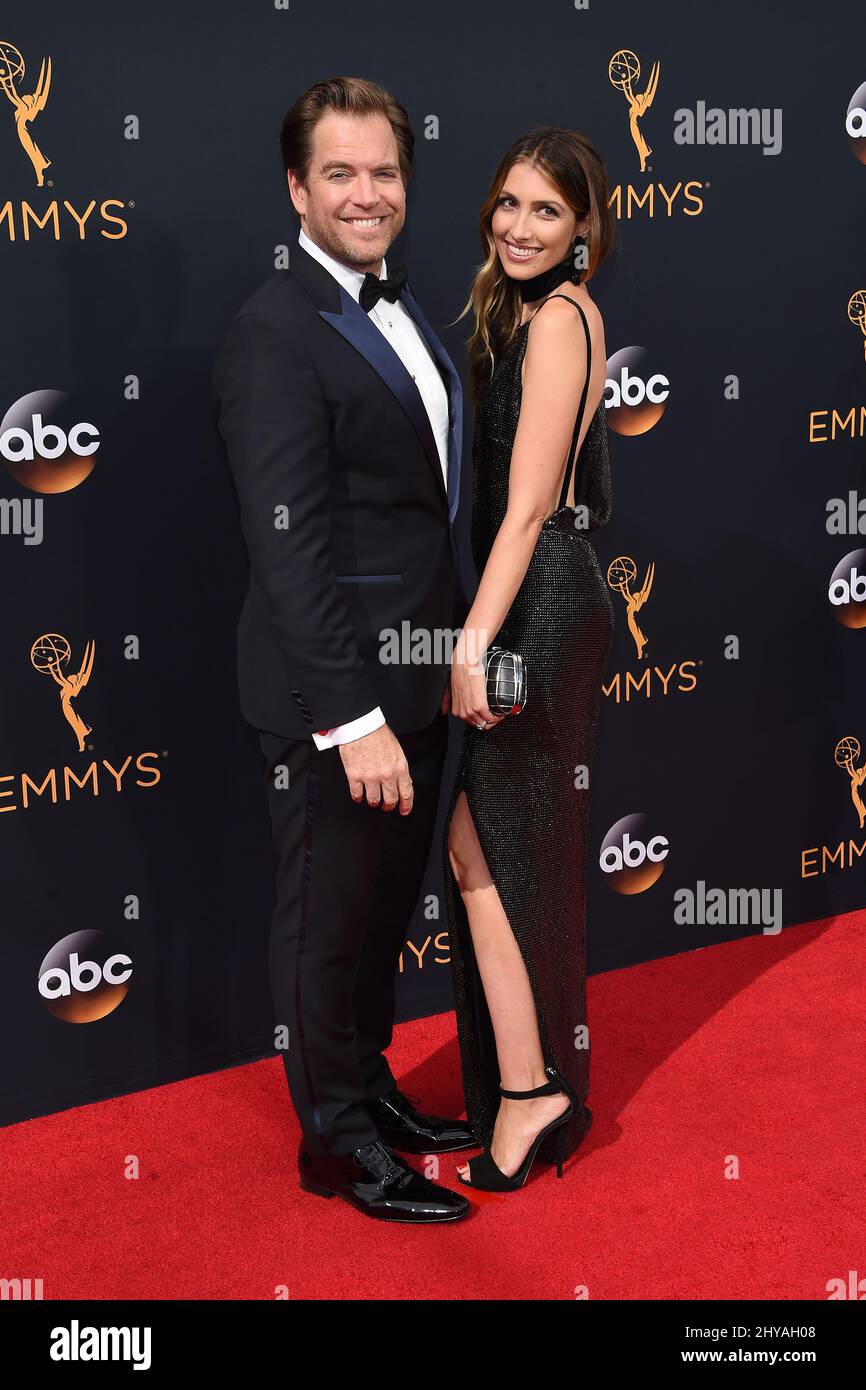 Michael Weatherly Wife Doctor