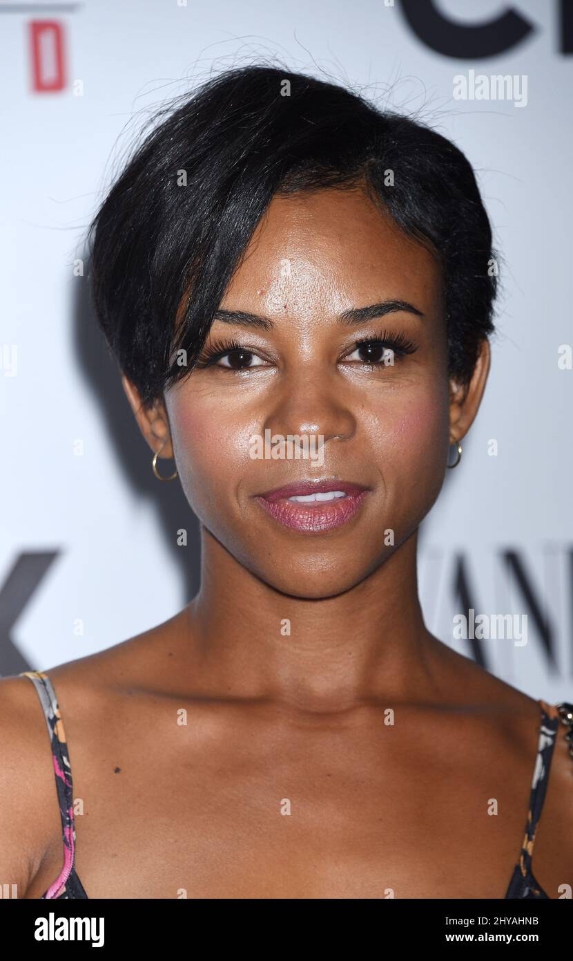 Aasha Davis attends the "America Divided" Los Angeles Premiere held at ...