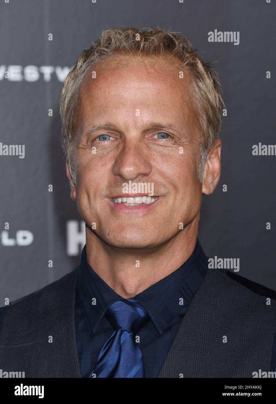 Patrick Fabian attending the "Westworld" premiere held at the TCL ...