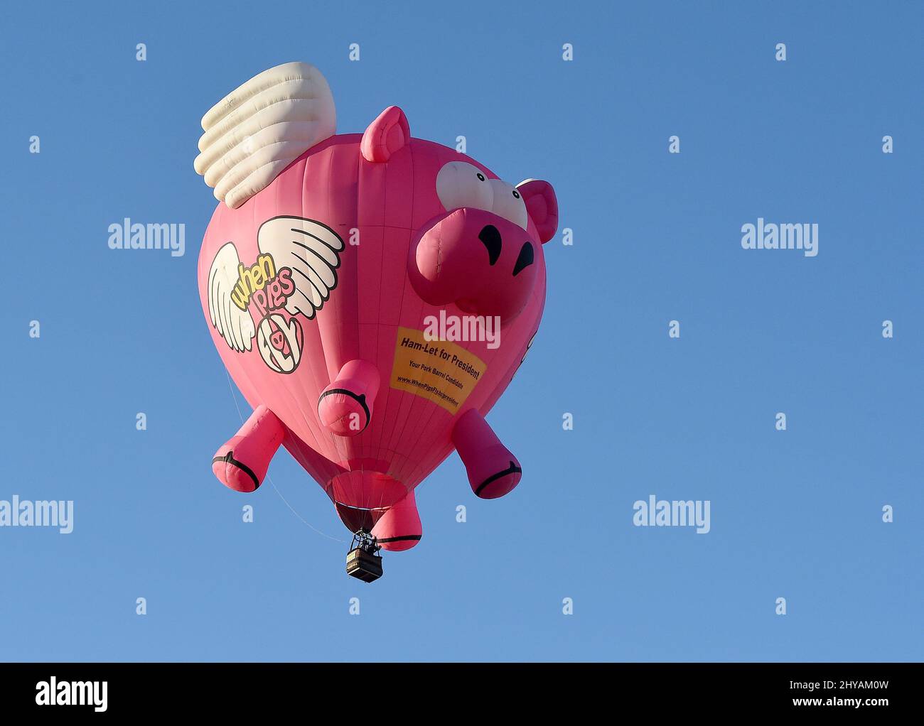 The 45th Albuquerque International Balloon Fiesta “Desert Kaleidoscope ...